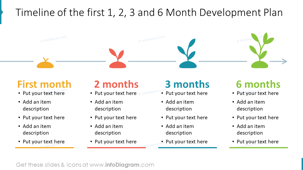 Timeline of the first 1, 2, 3 and 6 Month Development Plan