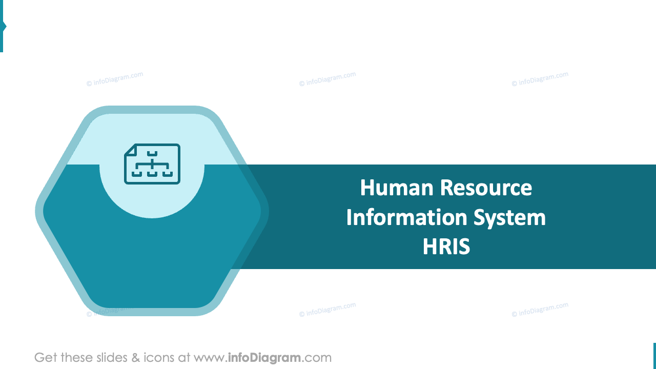 Human Resource Information System Hris System Section Slide