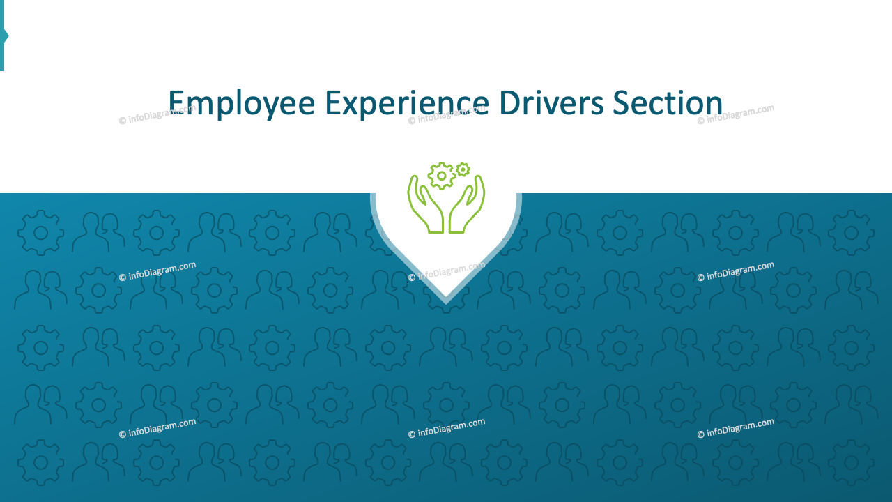 Employee Experience Drivers Section