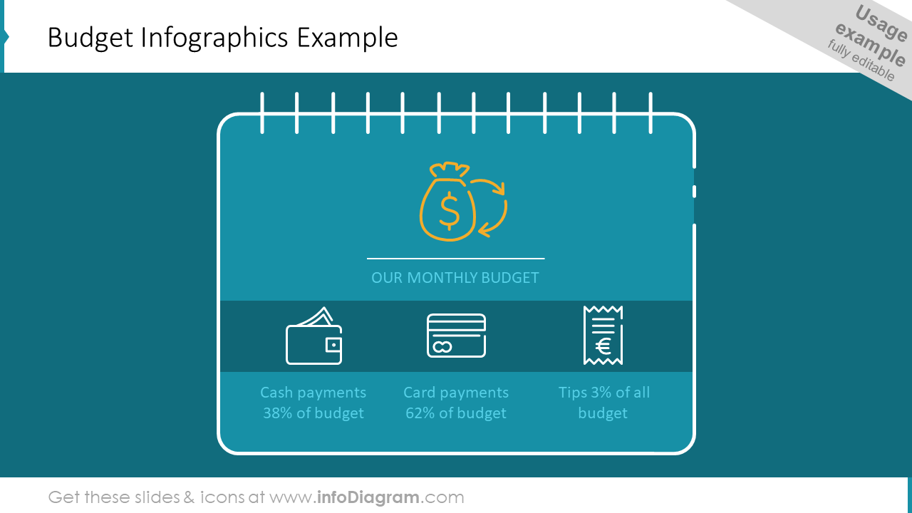 Budget Infographics Example