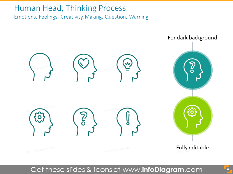 Human Head, Thinking Process