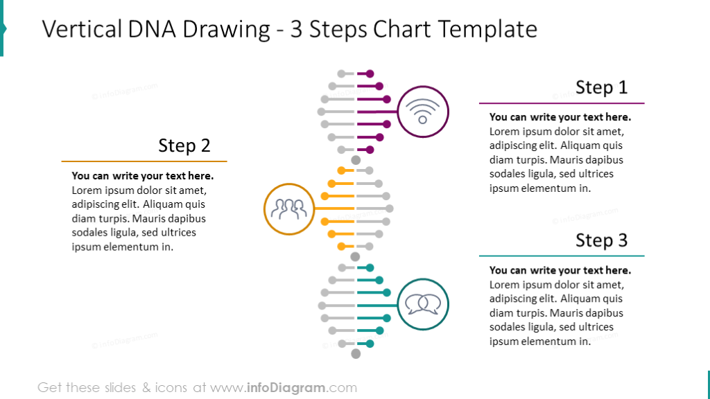 Vertical DNA 3 Steps Template - infoDiagram