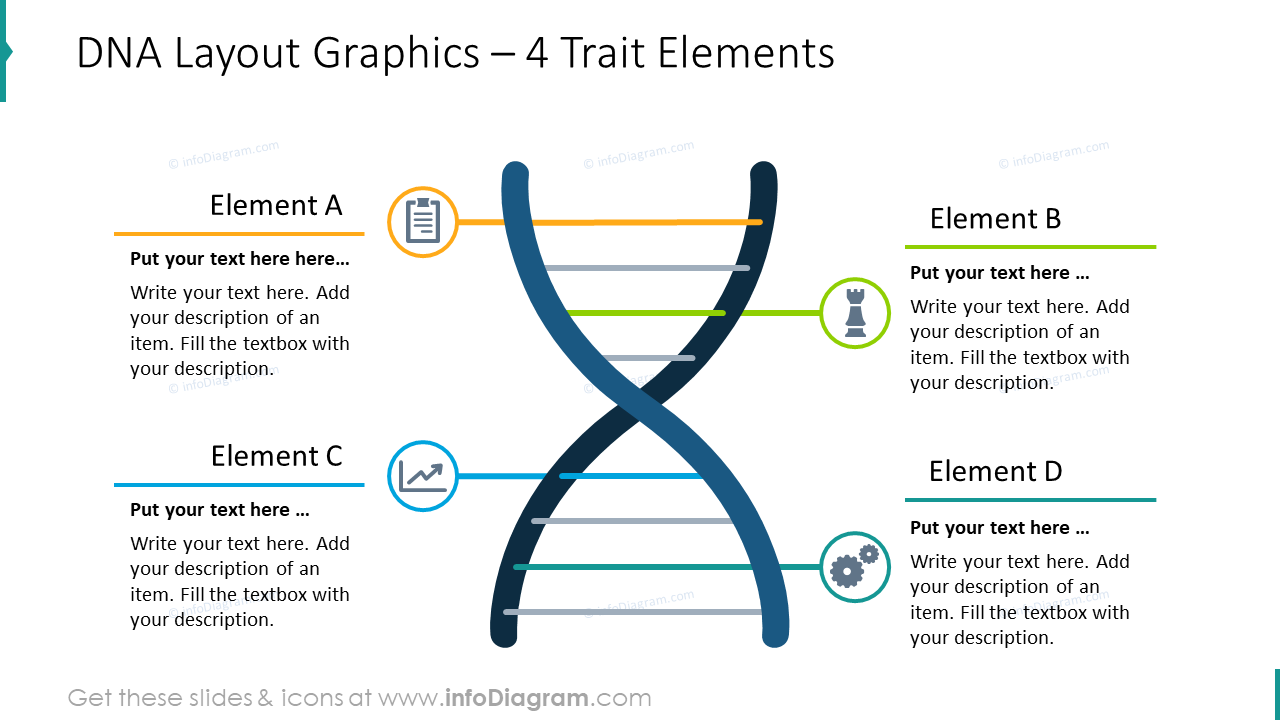 DNA Layout Graphics PPT Template