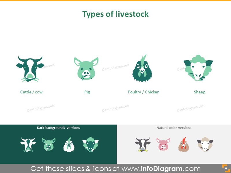 Types of livestock