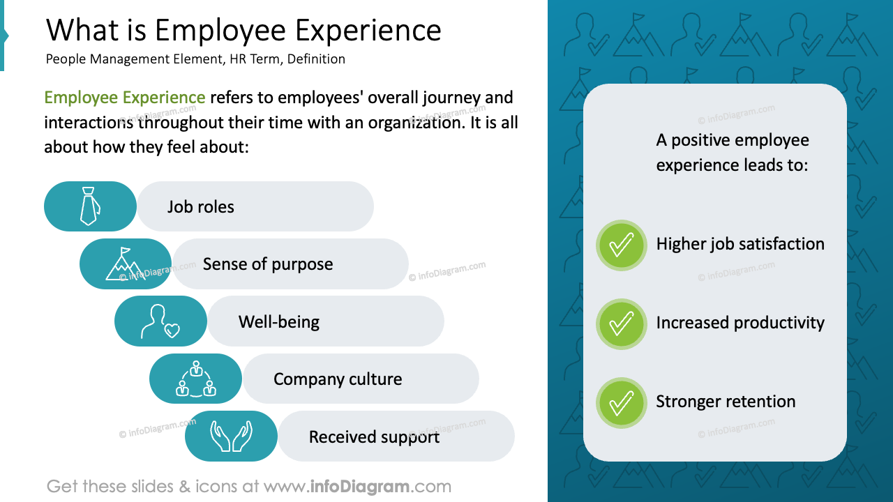 What is Employee Experience