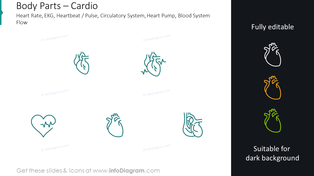 Cardio icons: heart rate, EKG, heartbeat, pulse, circulatory system