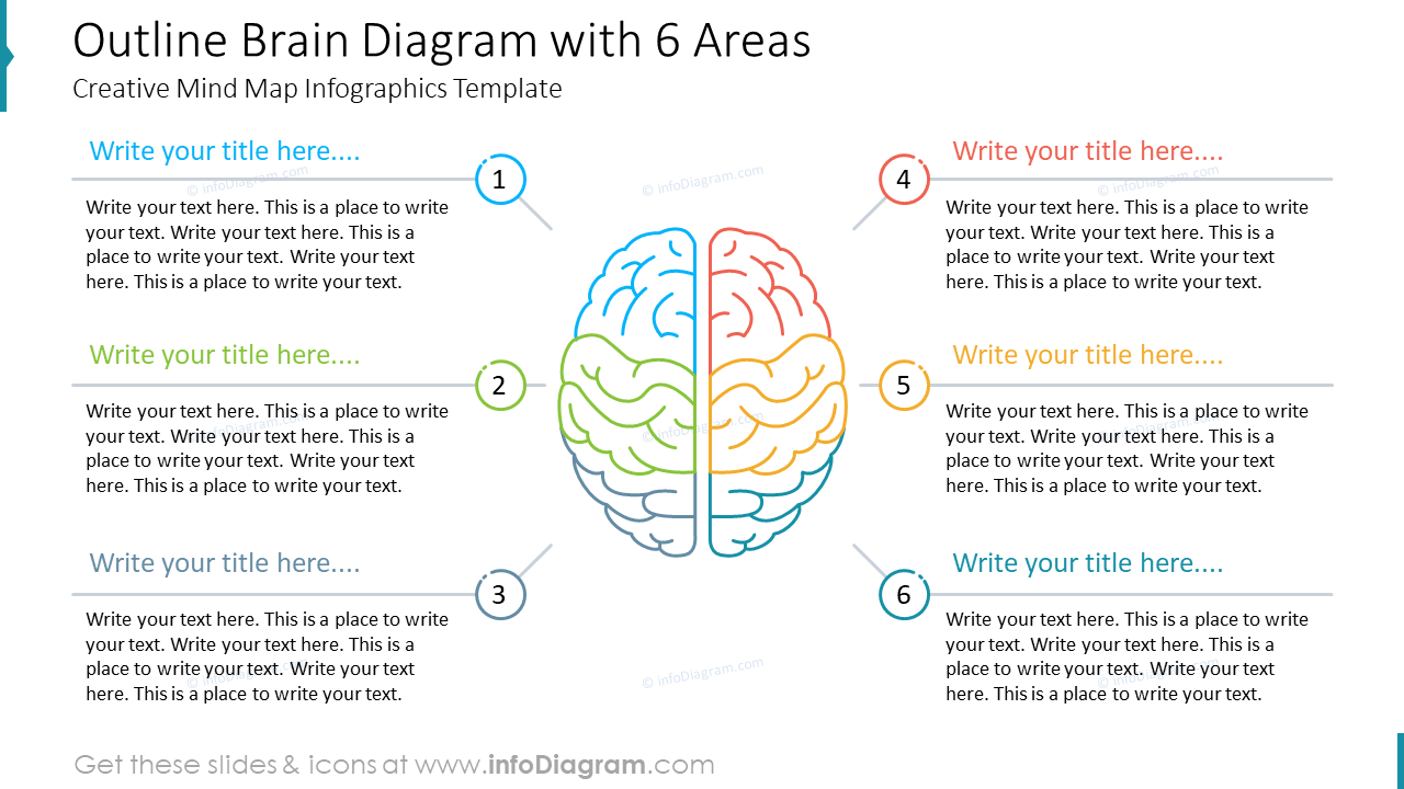 Outline Brain Diagram with 6 Areas